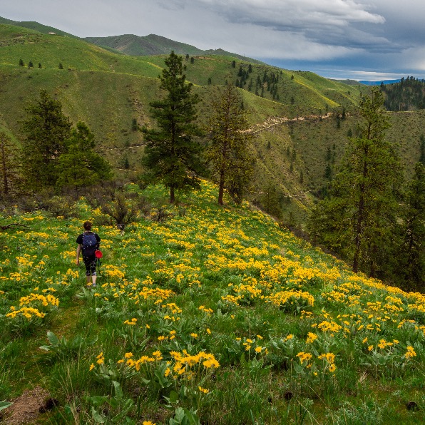 Washington's Ultimate Road Trip - The Cascade Loop Scenic Byway