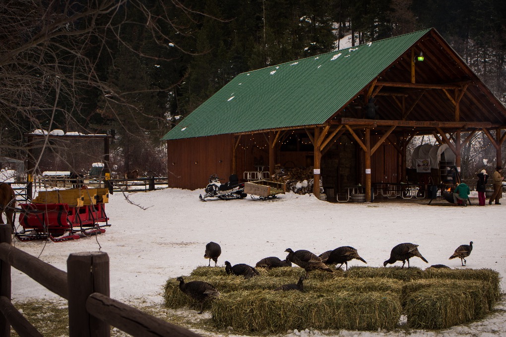 Winter In Washington's Cascade Loop: Sleigh Rides, Skiing & Boarding