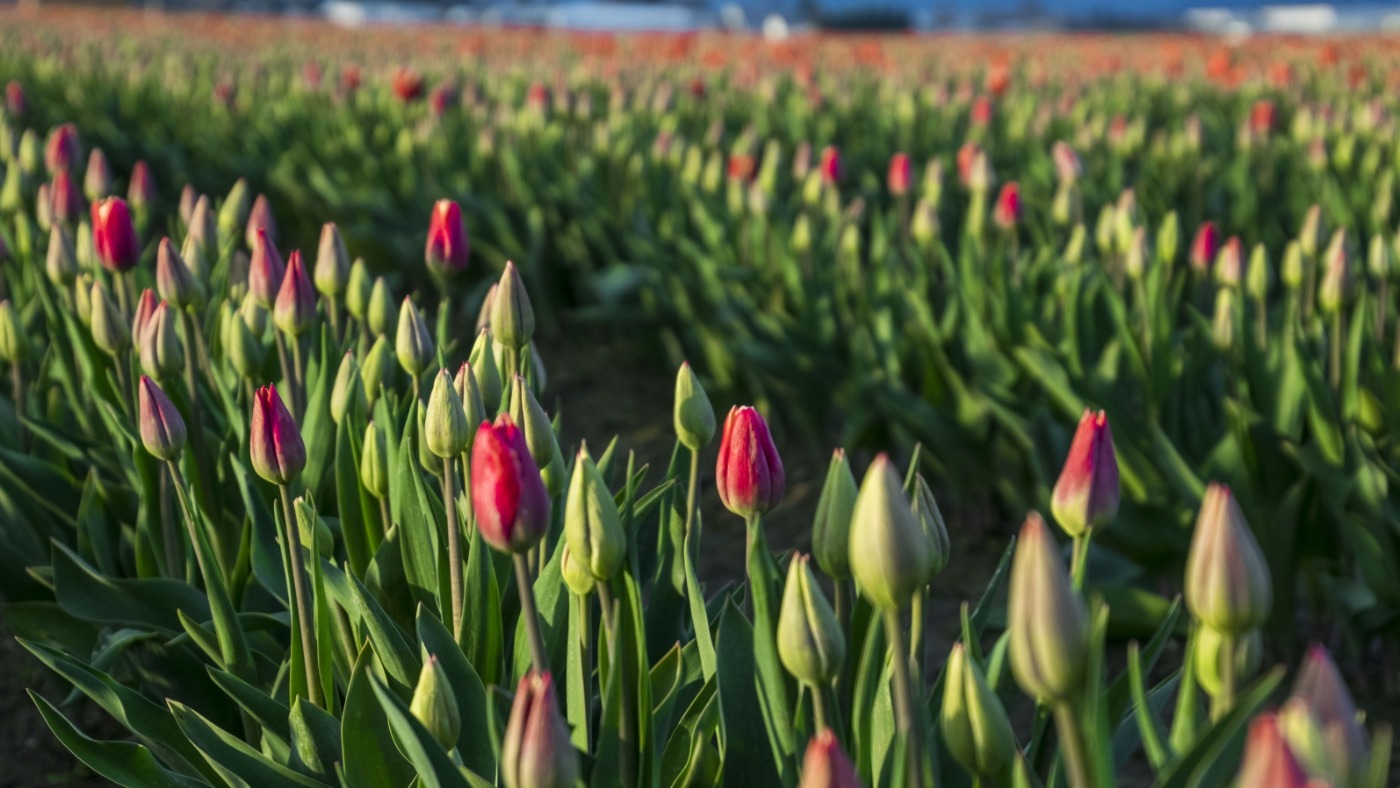 Washington's Ultimate Road Trip - The Cascade Loop Scenic Byway