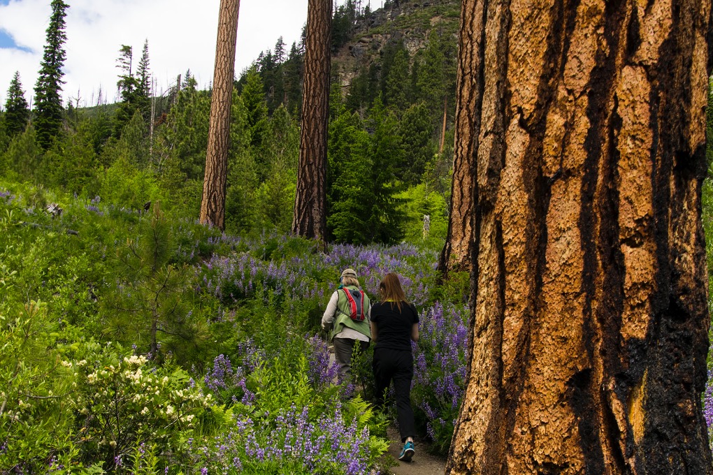 Leavenworth and the Cascade Foothills