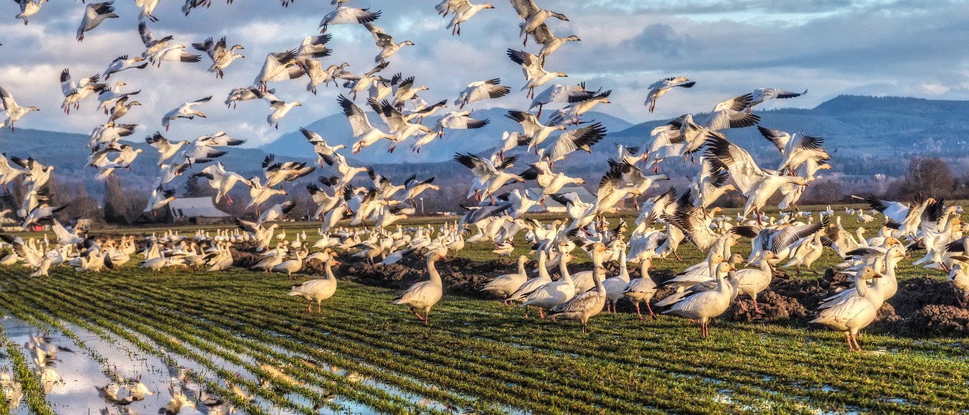 North Cascades Photographer: Capturing Images Of The Milky Way ...