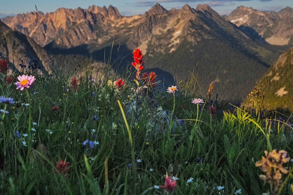 Visit The North Cascades National Park & North Cascades Scenic Byway